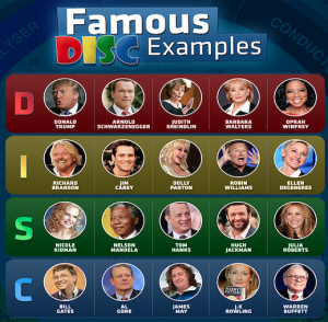 DISC Profiles | DISC Facilitation | Psychological Profiling Training ...